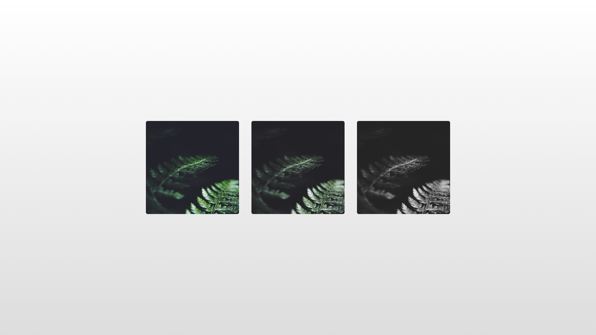 The Css Grayscale Filter Function Appcode